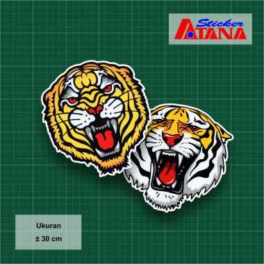 Jual Stiker Graftac 🏷️ Original Terbaru, Terlengkap, & Harga Termurah ...