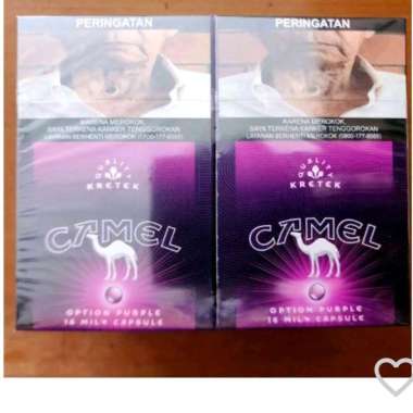 Jual Camel Purple Termurah - Harga Grosir Terupdate Hari Ini | Blibli