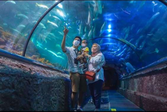 Jual Tiket Ocean Dream 🔥 Terbaik & Pilihan Harga Termurah di Juni 2026