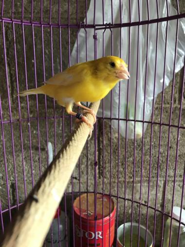 Harga Rasmi Terbaru Juni 2024 |BigGo Indonesia