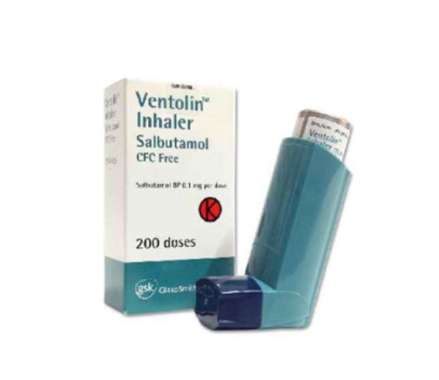 Ventolin Inhaler Lengkap Harga Terbaru Januari 2024 | Blibli