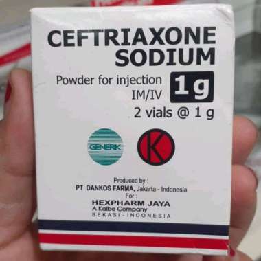 Vitamin C Injeksi Isi Berapa Vial Lengkap Harga Terbaru Juli 2024 | Blibli