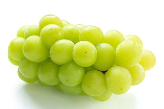 Muscat Grapes Gratis Ongkir 🔥 Harga Murah Juni 2026