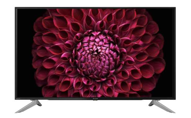 TV 60 Inch - Harga Terbaru Juli 2024 | Blibli
