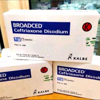 Ceftriaxone Injection Lengkap Harga Terbaru Oktober 2023 | Blibli