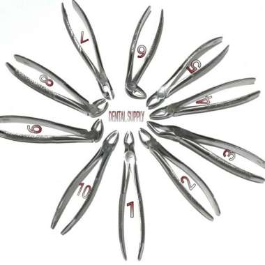 Tang Gigi Dewasa Lengkap Harga Terbaru Juni 2024 | Blibli