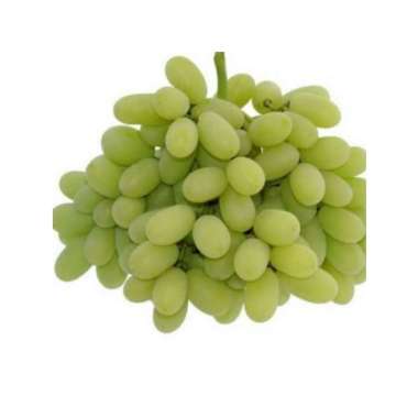 Jual Anggur 1 Kilo Termurah - Harga Grosir Terupdate Hari Ini | Blibli