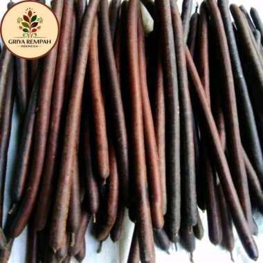 Jual Biji Kedawung Kering 500 Gram Kedaung Rempah Herbal Simplisia ...