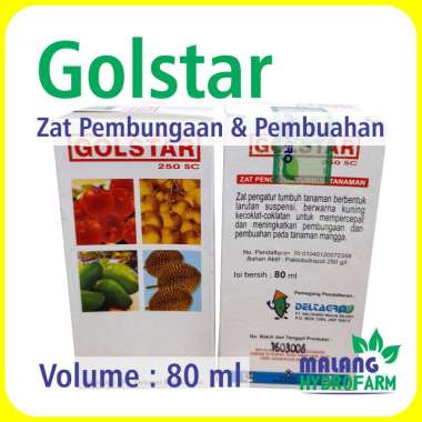 Jual Golstar Juli 2024 100% Original – Official Store Indonesia | Blibli