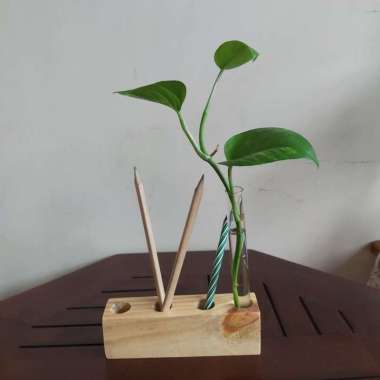 Jual Bunga Table Original, Murah & Diskon Juni 2024 | Blibli