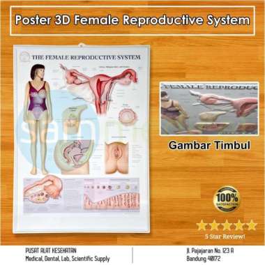 Harga 3d anatomy Terbaru Agt 2025 | BigGo Indonesia