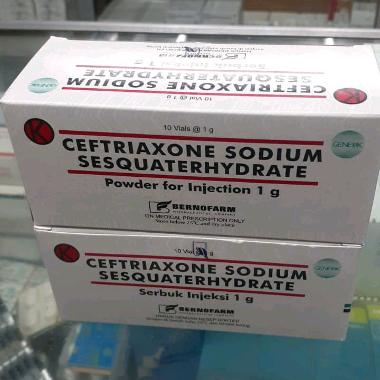 Ceftriaxone Injection Lengkap Harga Terbaru Oktober 2023 | Blibli