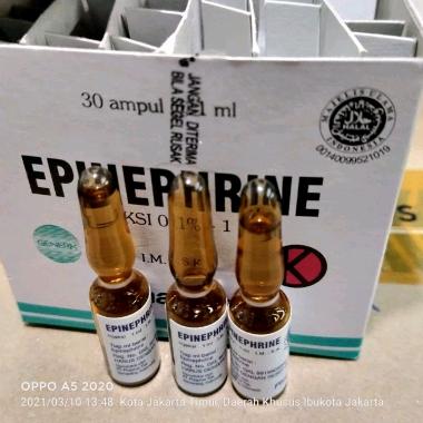 Epinephrine Lengkap Harga Terbaru November 2023 | Blibli