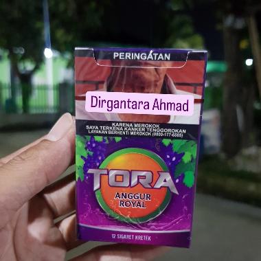 Jual Tora Kretek Termurah - Harga Grosir Terupdate Hari Ini | Blibli