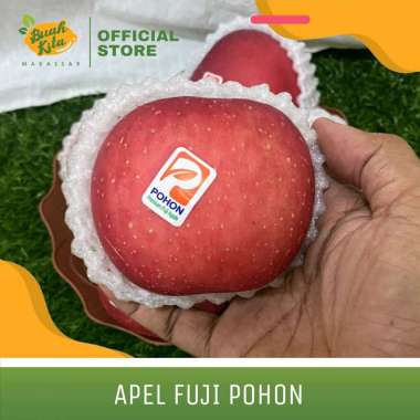 Jual Pohon Apel Fuji Terbaru - Harga Promo Juli 2023 | Blibli