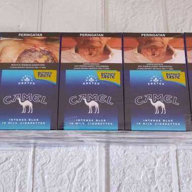 Jual Roko Camel Intense Termurah - Harga Grosir Terupdate Hari Ini | Blibli