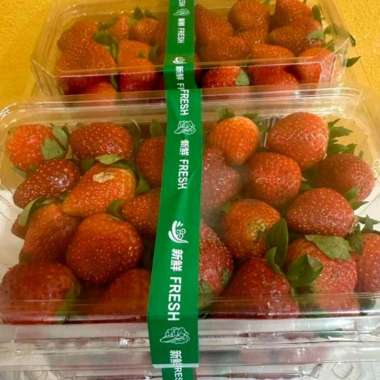 Harga strawberry segar 1 kg Terbaru Sep 2025 | BigGo Indonesia
