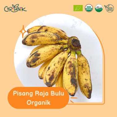 Jual Pisang Raja 1 Kg Termurah - Harga Grosir Terupdate Hari Ini | Blibli