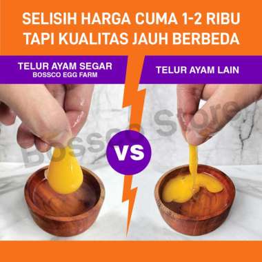 Jual Telur Ayam Premium Termurah - Harga Grosir Terupdate Hari Ini | Blibli