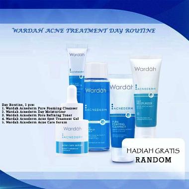 Jual Wardah Acnederm 1 Set Terbaru - Harga Promo Juli 2023 | Blibli