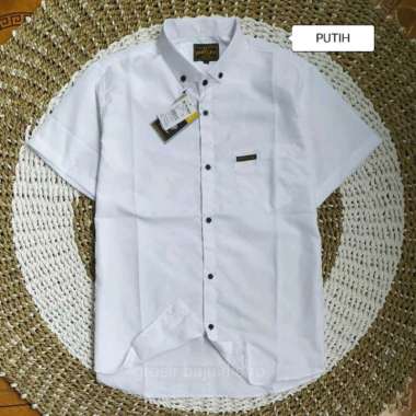 Jual Kemeja Putih Polos Pria L Model Terbaru - Harga Promo Agustus 2023 | Blibli