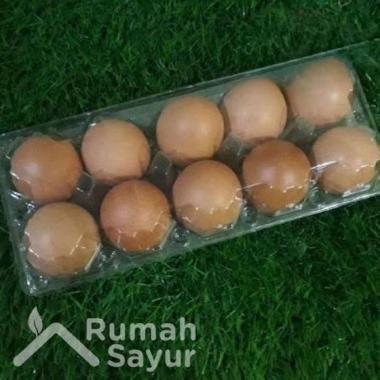 Jual Telur Ayam Satu Pack Terbaru - Harga Promo November 2023 | Blibli