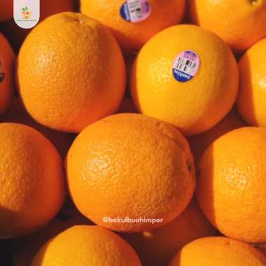 Jual Jeruk Sunkist Navel Termurah - Harga Grosir Terupdate Hari Ini ...