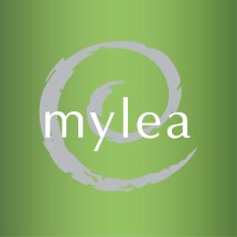 Mylea Official Store - Harga Terbaru Mei 2024 | Blibli