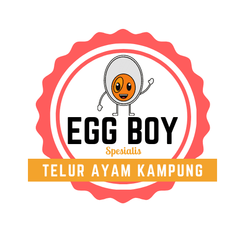 Toko Eggboy Online Original & Harga Terbaik | Blibli