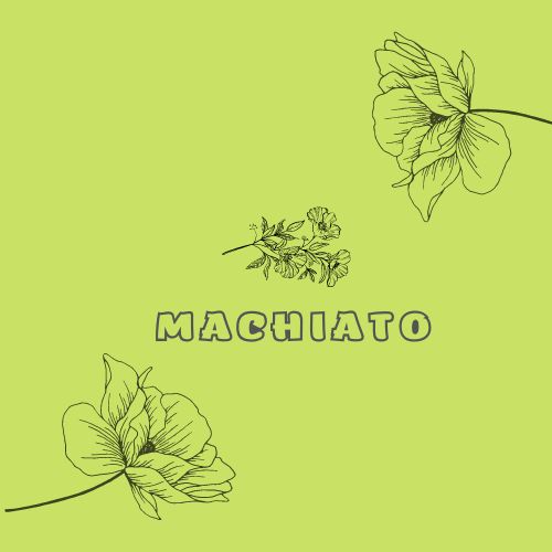 Toko Machiato Online Original And Harga Terbaik Blibli