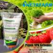 Jual Pupuk PETRO pertanian tanaman NPK kebomas 12 - 11 - 20 ( 1kg ) di ...