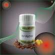 Jual Obat Pikun lansia anti lupa ampuh Penambah Daya Ingat ...