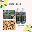 Jual PGPR Bakteri Aspergillus niger, Pupuk Fungisida Hayati Tricoderma ...