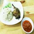 Jual Bebek presto ungkep 1 ekor Halal, lengkap dengan sambal terasi yang nikmat dan mantap ...