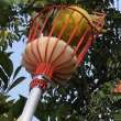 Jual Alat Pemetik Buah. Alat Pengambil Buah. Peralatan Memetik Buah ...