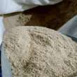Jual dedek padi atau dedek beras ini bisa digunakan sebagai pakan ...