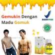 Promo GOMUK MADU PENGGEMUK BADAN ORI BPOM 100% HERBAL ORIGINAL/NAIK 5-10 KG/ATASI GEMUK ...