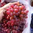 Promo Buah Anggur Merah Crimson Tanpa Biji 1kg Diskon 1% di Seller Good ...