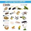Promo Mainan siklus hidup hewan semut /life cycle figurene only Diskon ...