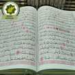 Jual Mushaf Al-Qur'an MANULA ASH-SHOMAD Khot Utsmani 15 baris Kitab ...