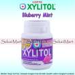 Promo LOTTE XYLITOL Chewing Gum All Variant - Permen Karet Aneka Rasa ...