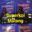 Promo Wellgro Koi Gainen 1KG 1 KG Well Gro Pakan Ikan Pelet Warna Color ...