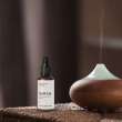 Jual Fragrance Oil Diffuser Machine Inspired Le Labo Pengharum Ruangan ...