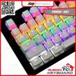 Jual Keycap - Keycaps - Oem - Pudding Grey - Pbt - Rgb - See Through Di ...